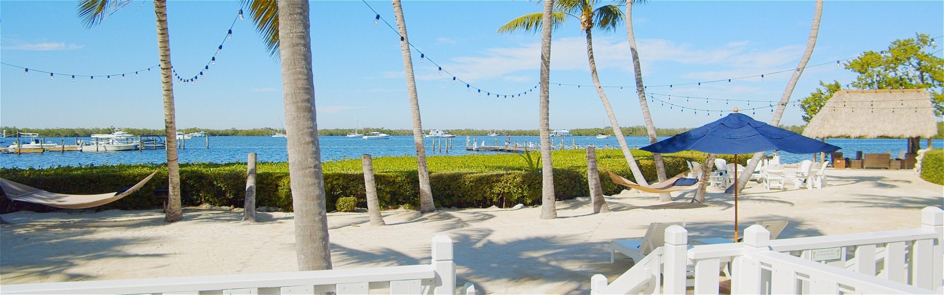 Coconut palm inn store